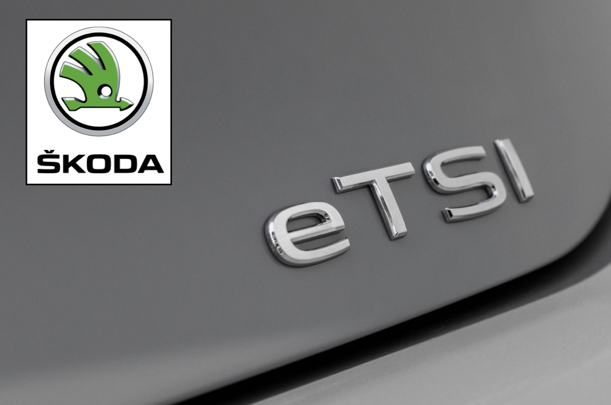 skoda compact suv, hybrid, Kushaq, Enyaq EV, India local partnership ...