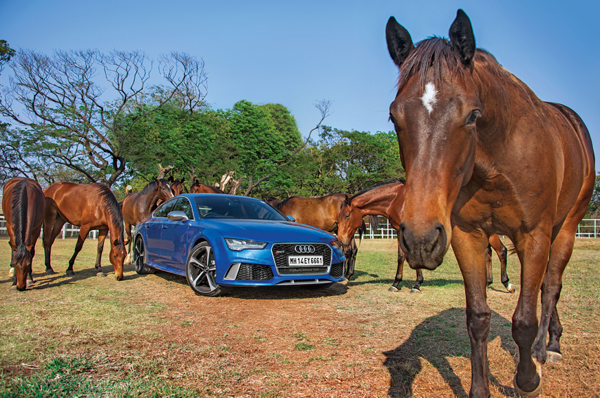 Audi RS7 or a race horse? We choose in out horse power vs horsepower ...