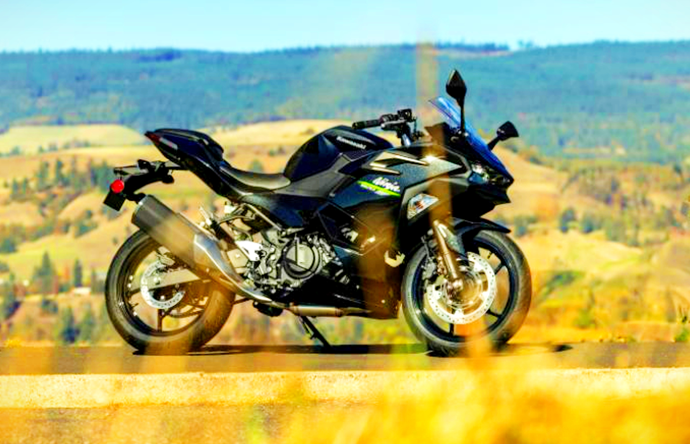 Gear Indicator Ninja 500 at Mickey Munos blog