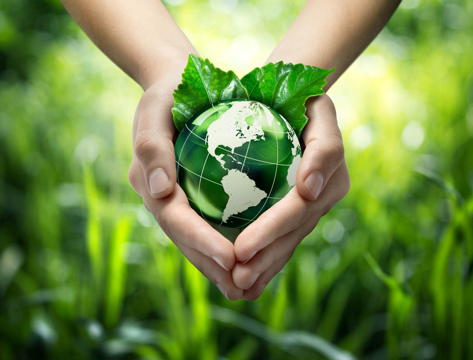 SIAM plans nation-wide green awareness campaign on World Environment ...