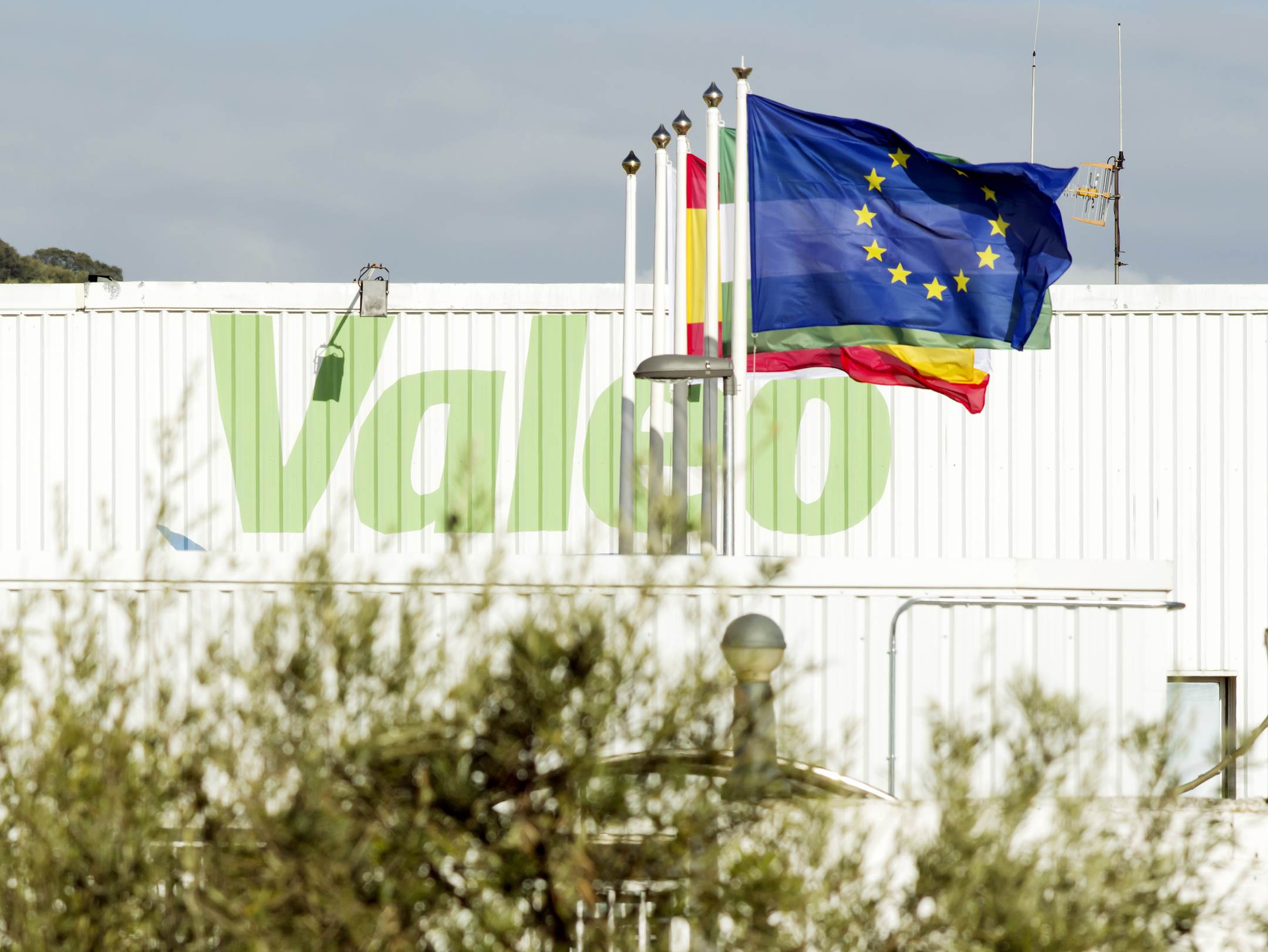 Valeo named most valuable auto component brand | Autocar Professional