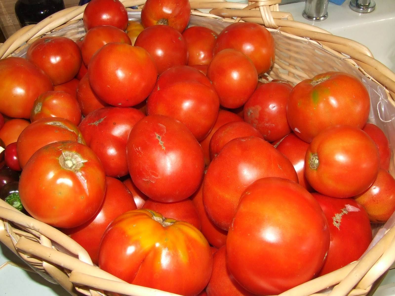 Ford and Heinz explore use of tomato fibre to develop sustainable ...
